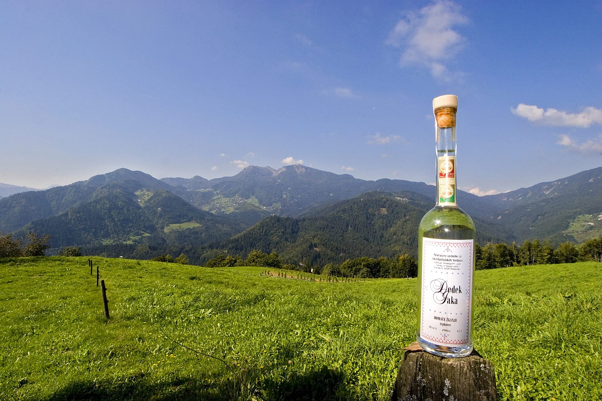 Alpine Melody - Enjoy a day in the Alps - Tours Slovenia